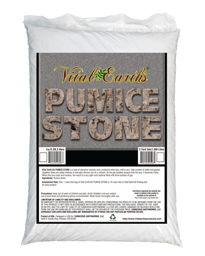 Pumice Stone